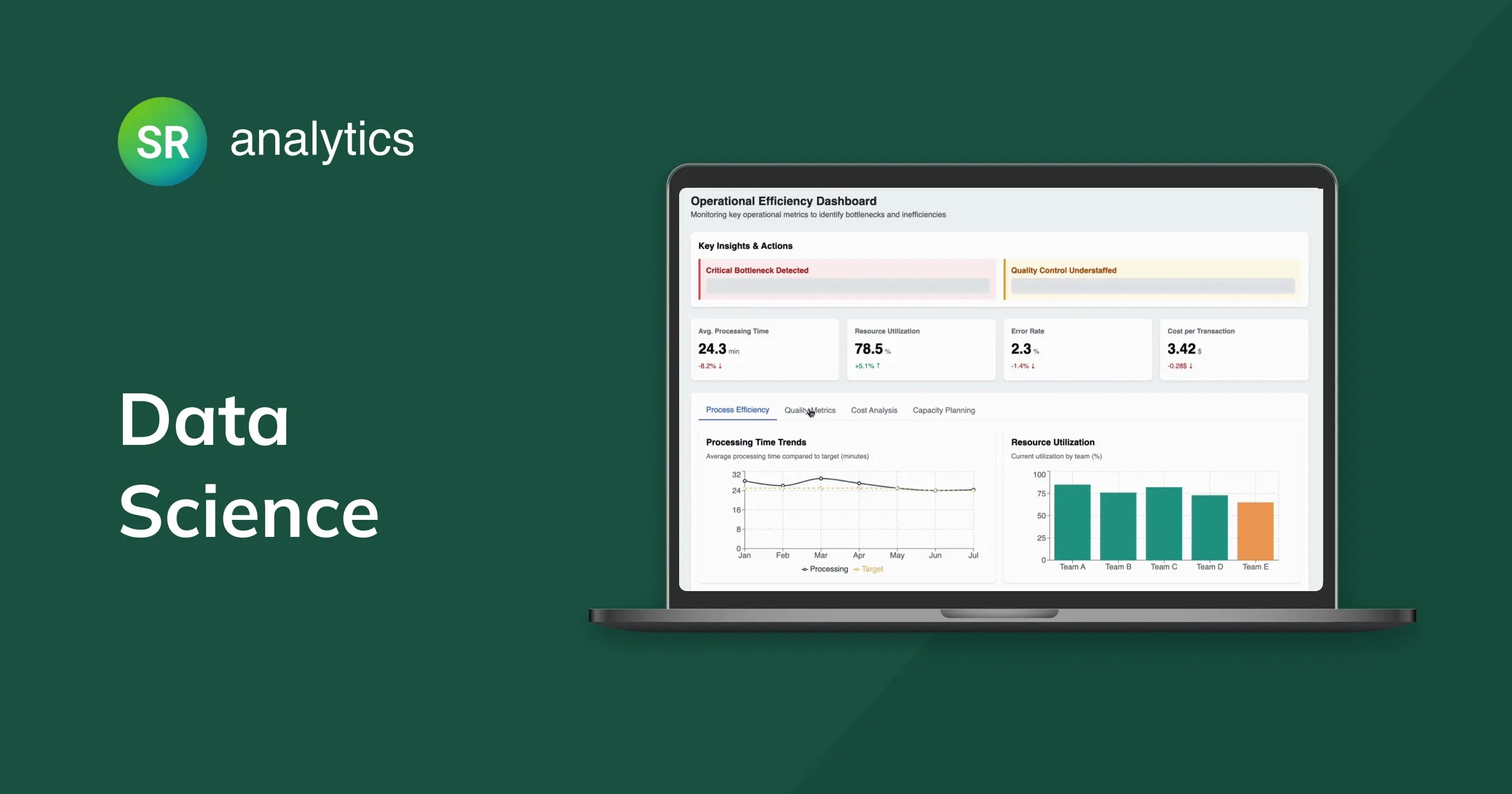 Data Science Consulting Services | SR Analytics